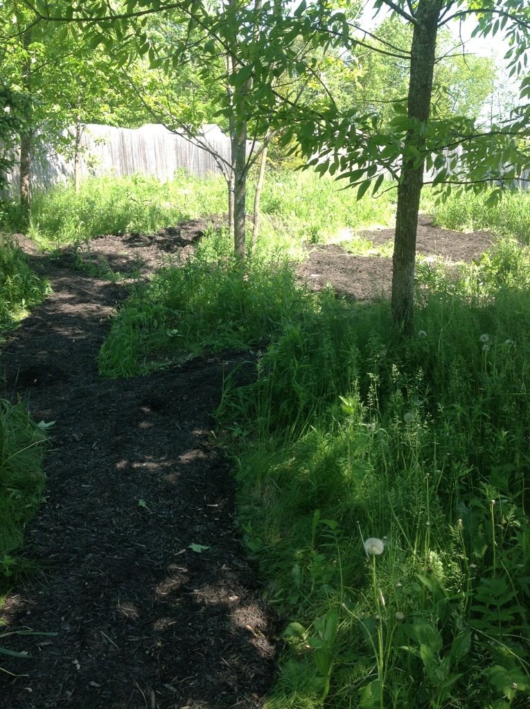 Ballston Spa Nature Preserve Build - Jessecology