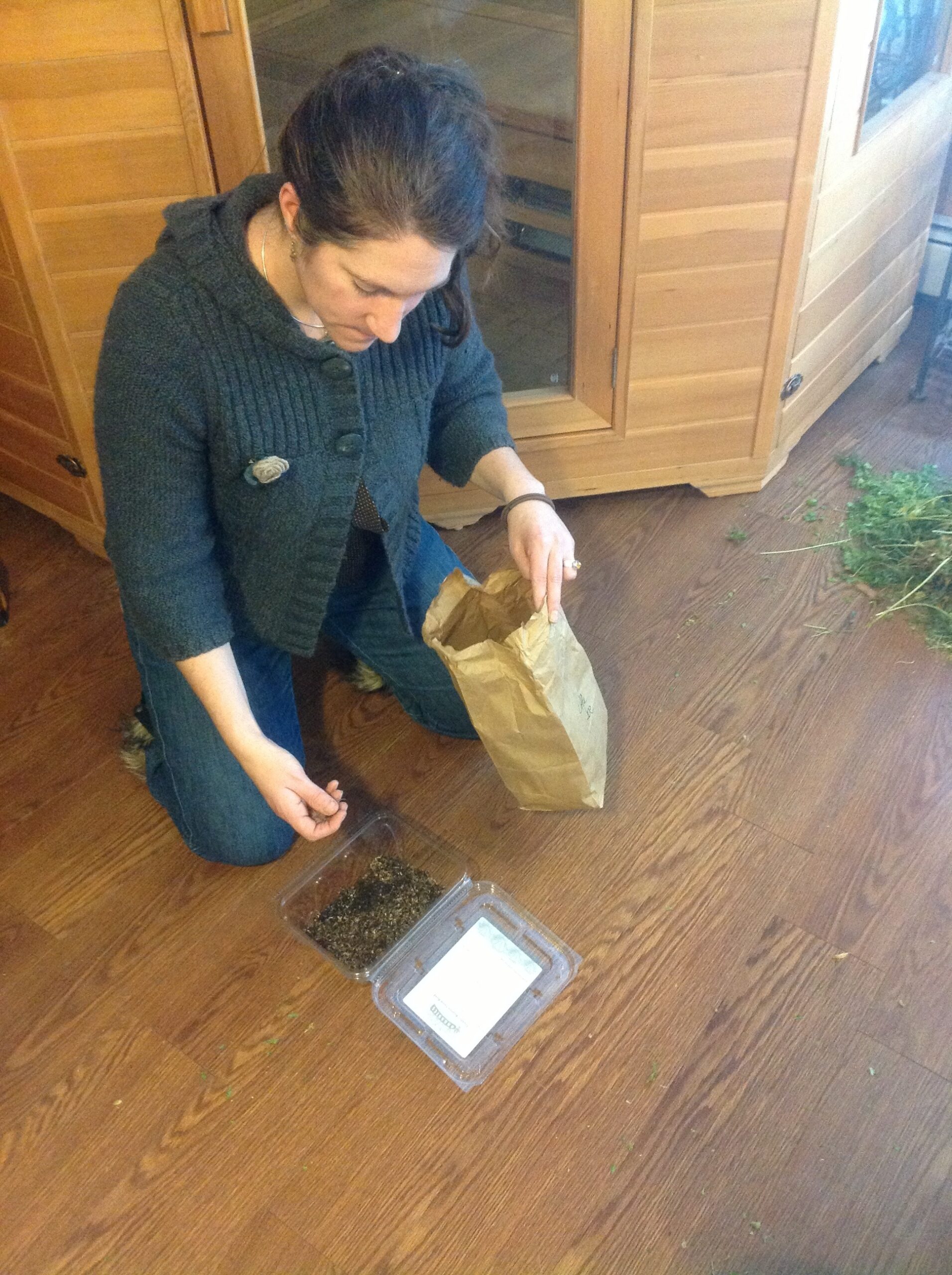 Winter Seed Sowing Projects - Jessecology