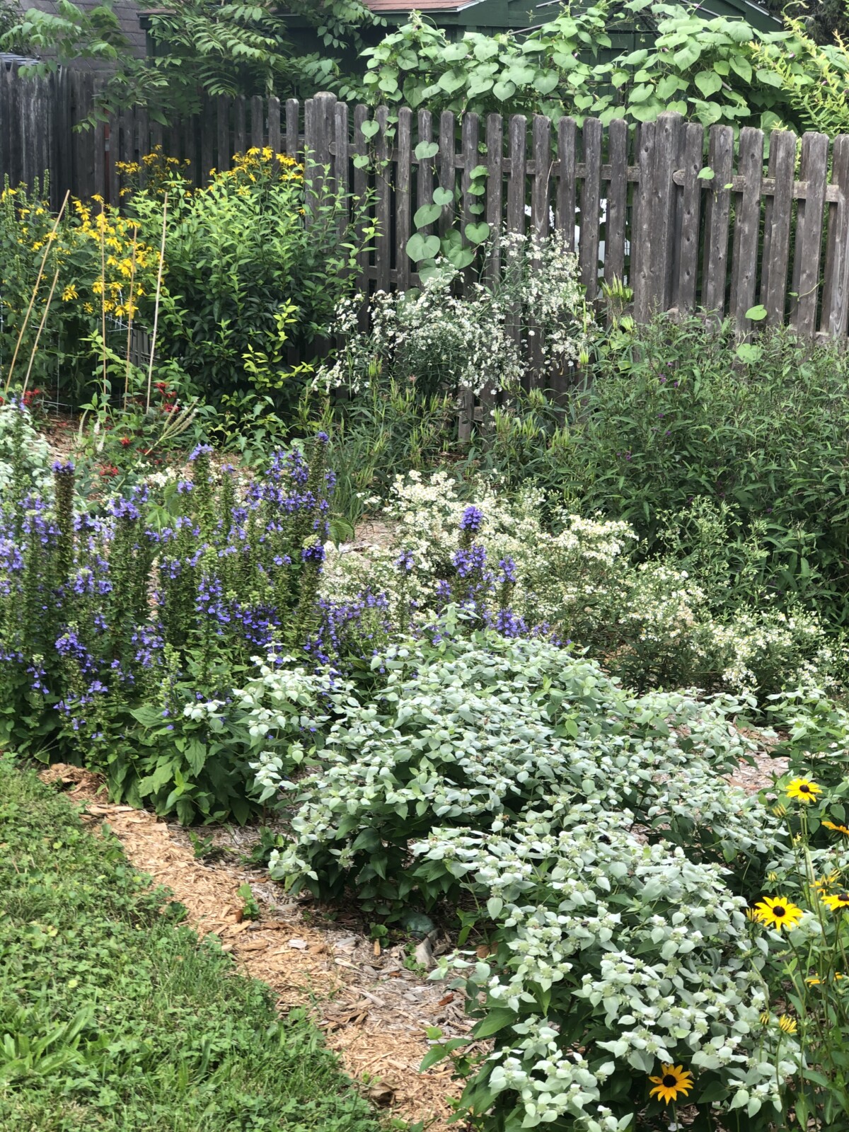 Benefits of Native Plants - Jessecology