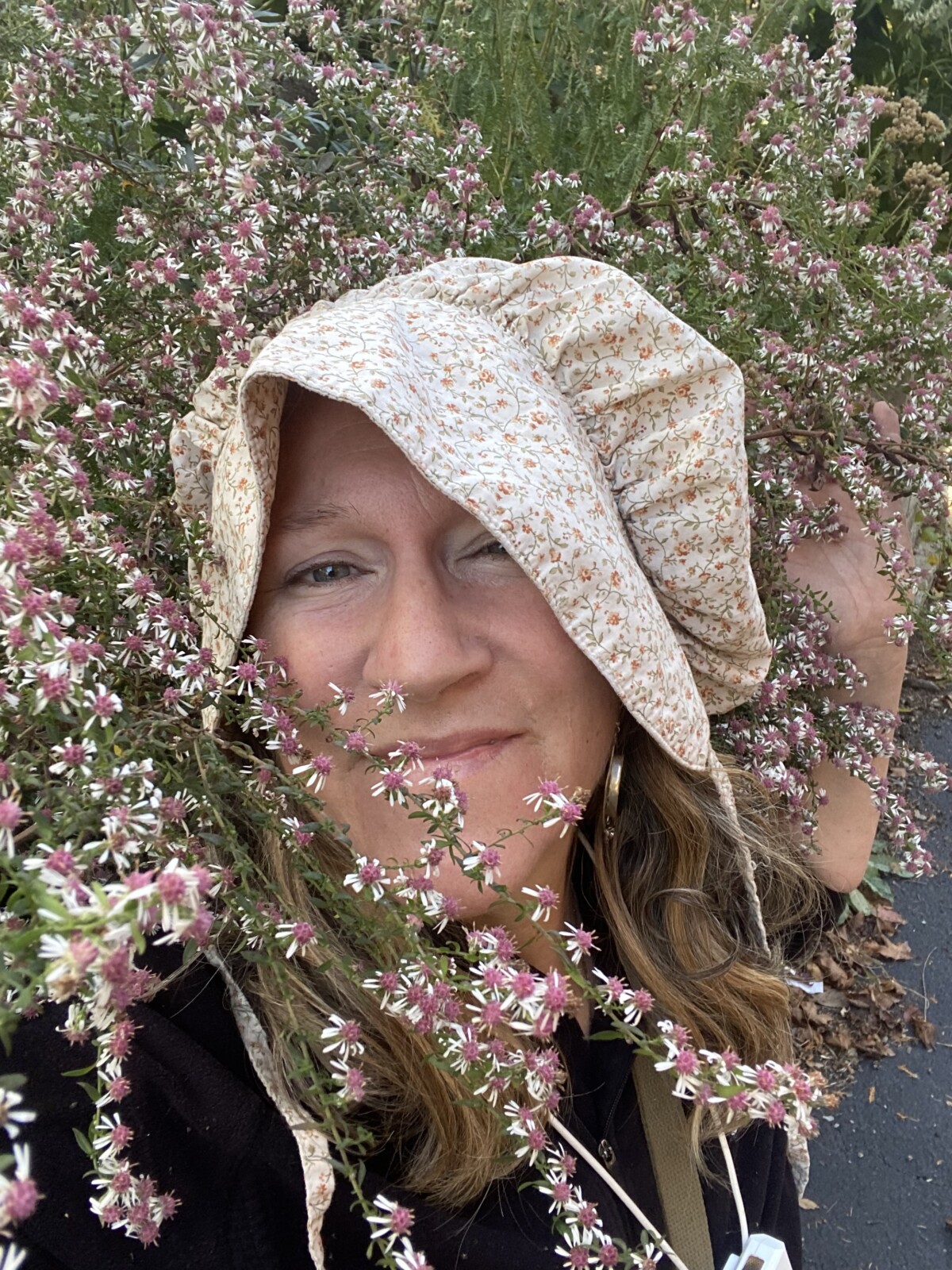 Calico Aster (Symphyotrichum lateriflorus) - Jessecology