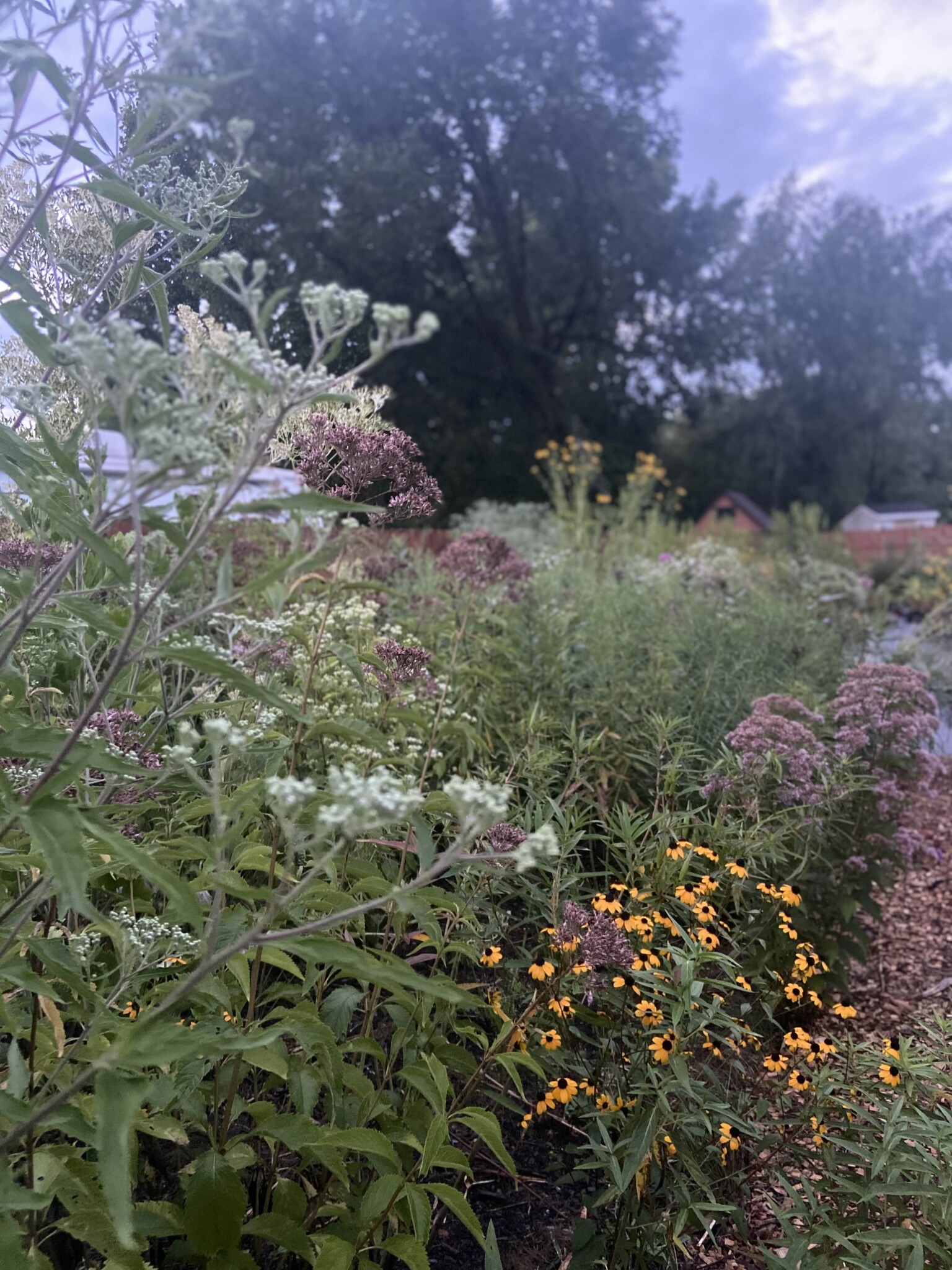 Sustainable Landscaping/Gardening: 5 Principles: Part II. - Jessecology