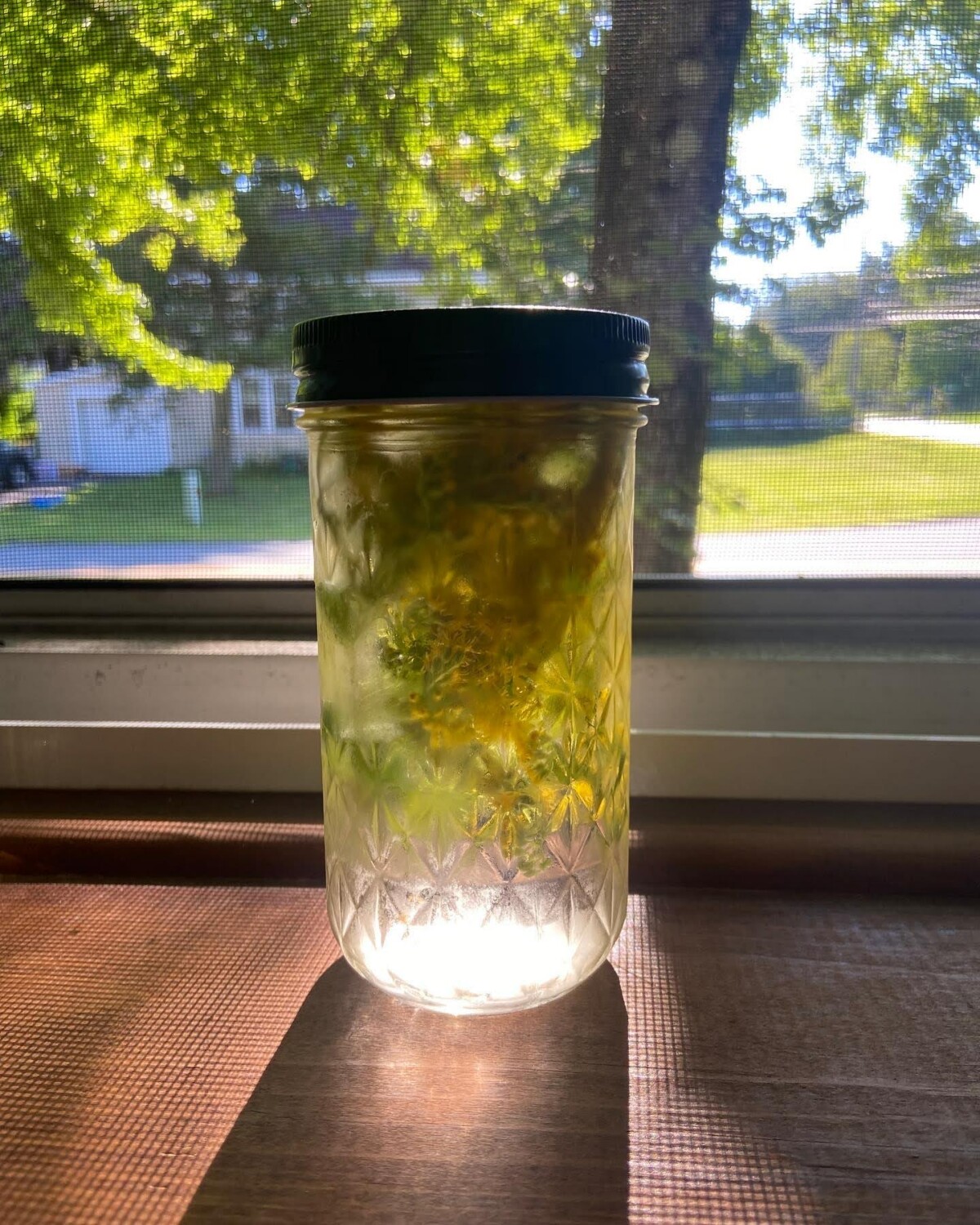 How Do You Make Coldbrew Tea? - Jessecology
