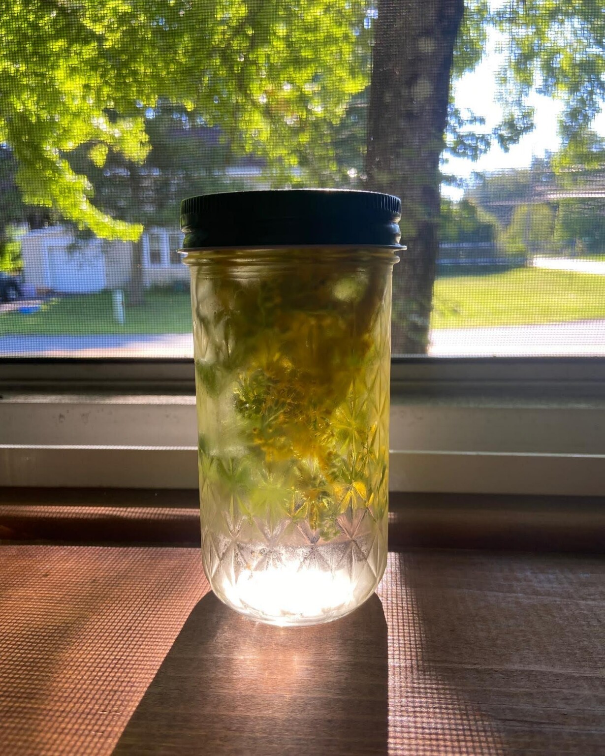 How Do You Make Coldbrew Tea? - Jessecology