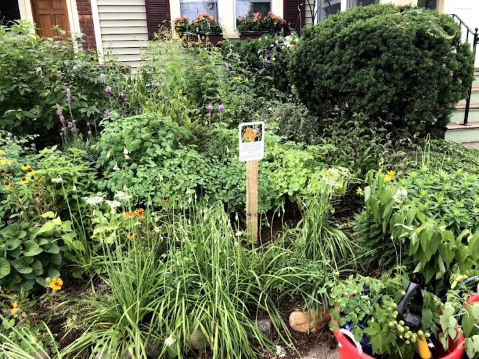 Natural Gardening - Jessecology