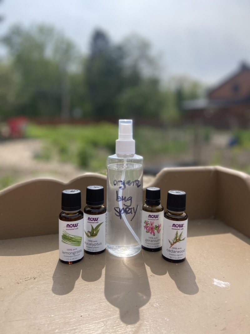 Best Organic Bug Spray - Jessecology