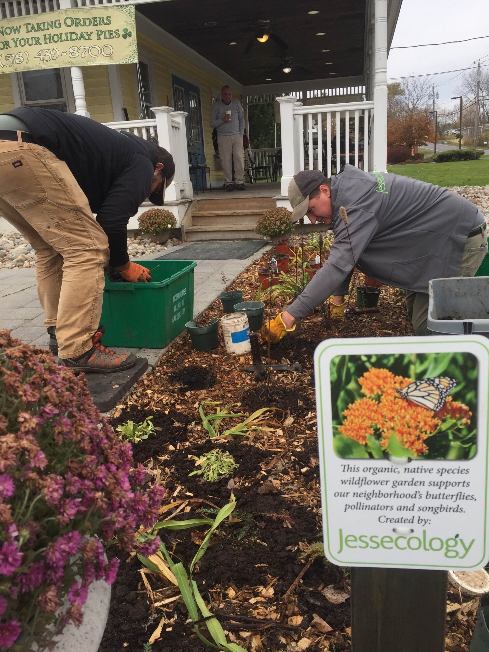 Front Yard Pollinator Garden - Jessecology