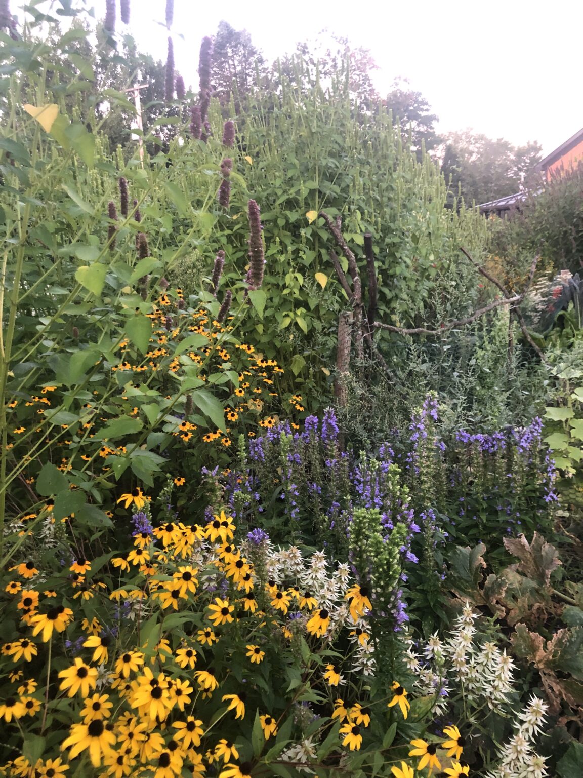 Why are Pollinators Important? - Jessecology