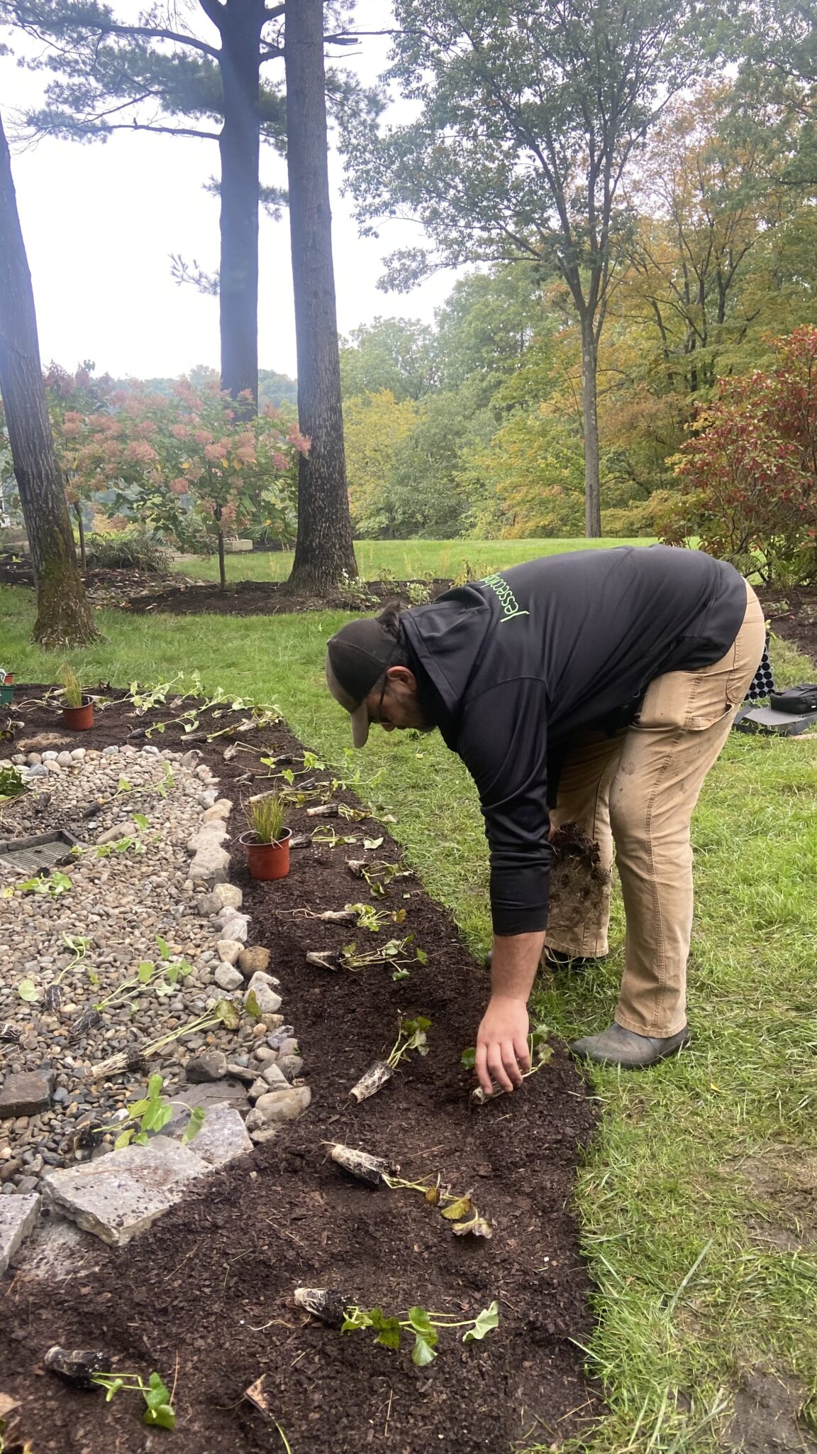 Bioretention Pond - Jessecology