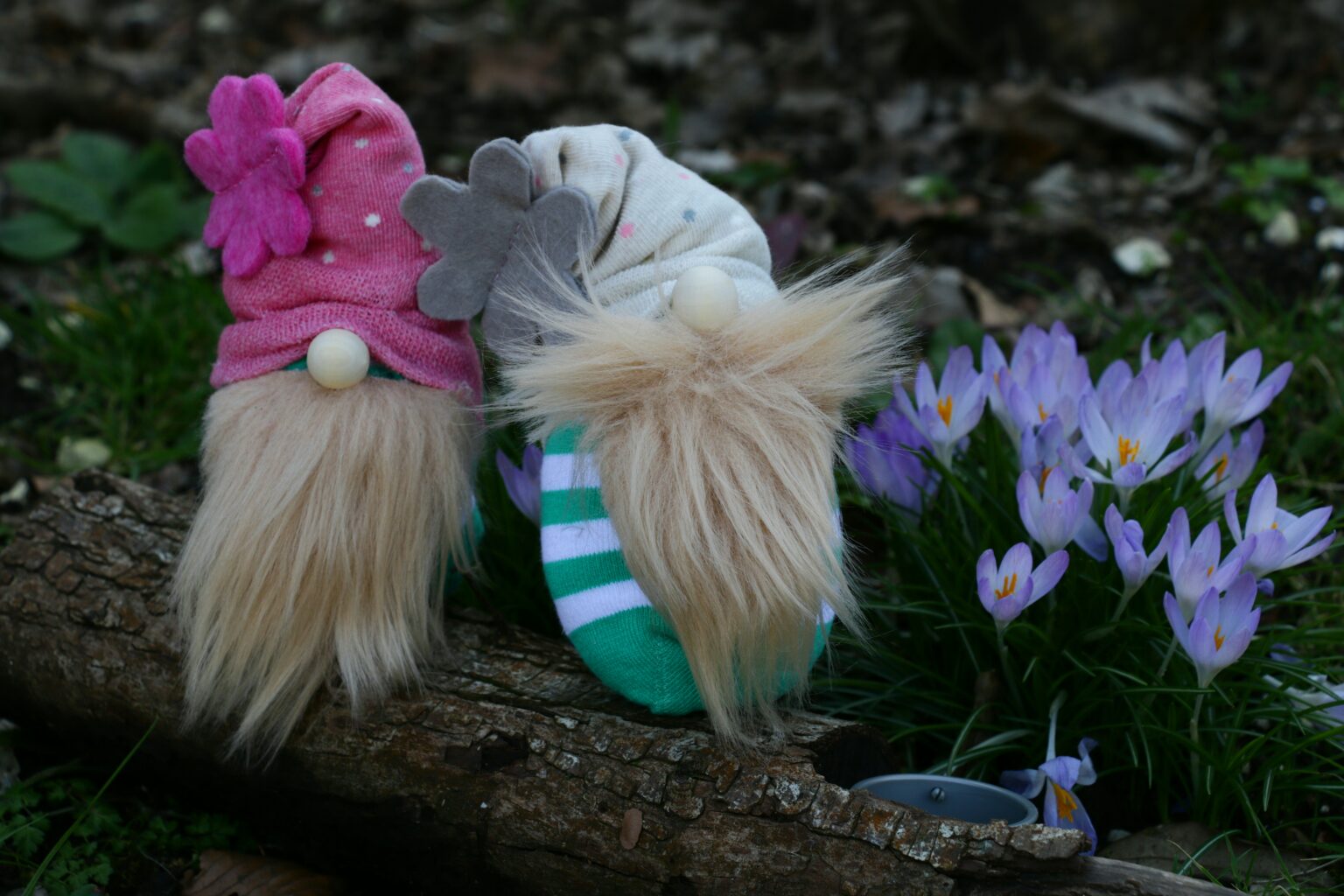 The History of Garden Gnomes - Jessecology