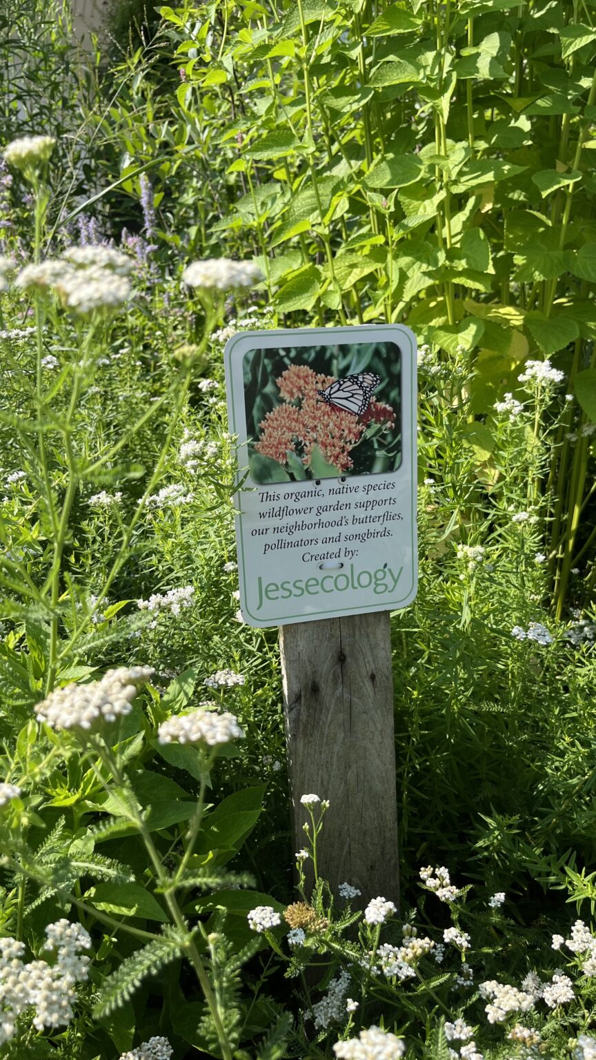 Native Gardens 101: The Benefits of Native Plants - Jessecology